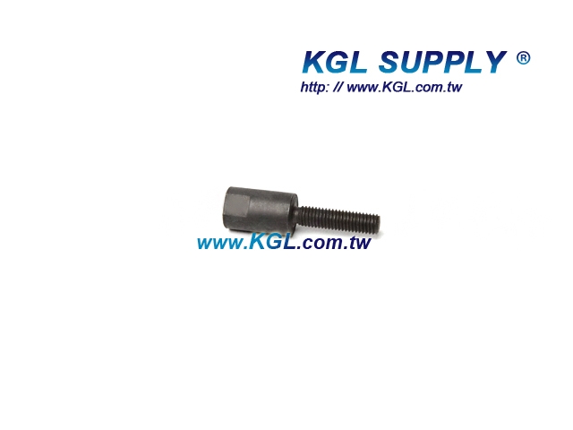 350186 Joint PEGASUS 350186